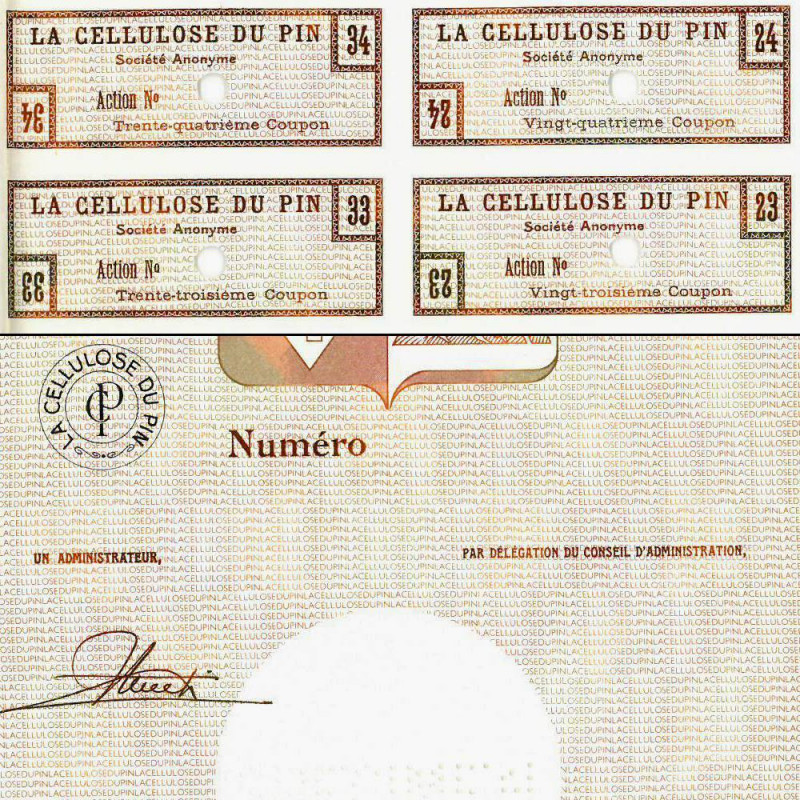 33 - Biganos - La Cellulose du Pin - 75 NF - 1962 - Spécimen - SUP+