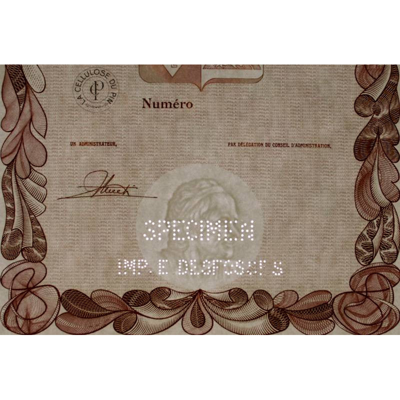 33 - Biganos - La Cellulose du Pin - 75 NF - 1962 - Spécimen - SUP+